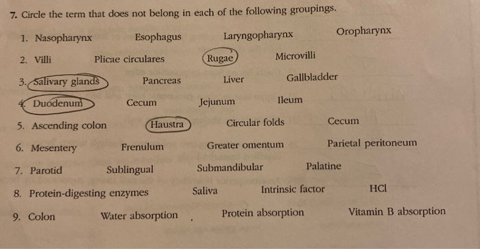Solved 7. Circle the term that does not belong in each of | Chegg.com Solved 7. Circle the term that does not belong in each of | Chegg.com