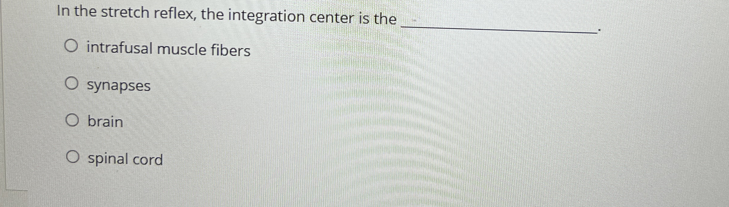 Solved In the stretch reflex, the integration center is the | Chegg.com