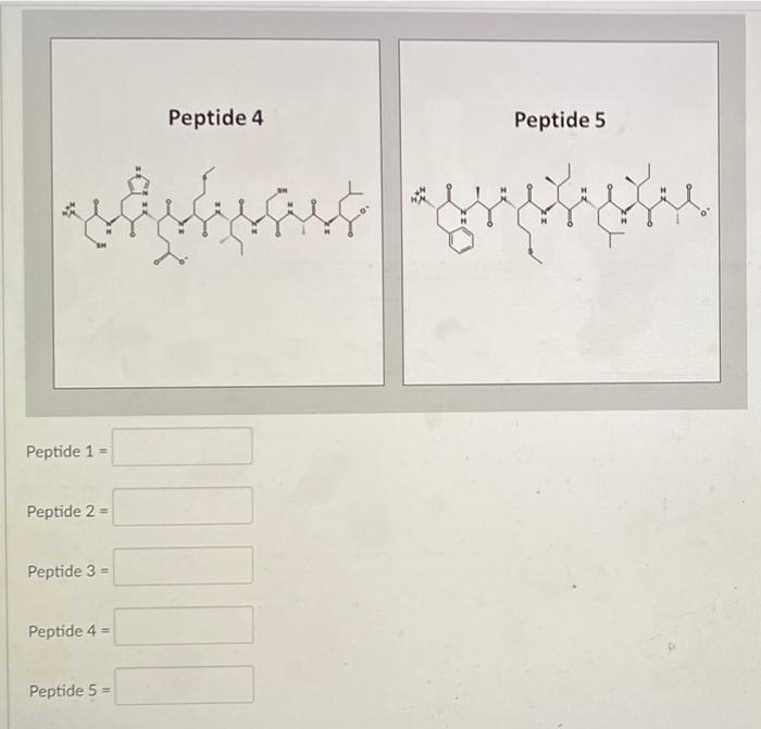 Solved Instructions: Type the one-letter code for each of | Chegg.com