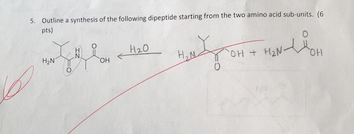 Solved 5. Outline a synthesis of the following dipeptide | Chegg.com