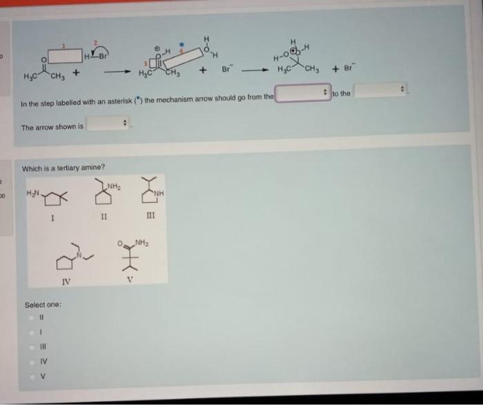 Solved In the step labelled with an asterisk (") the | Chegg.com