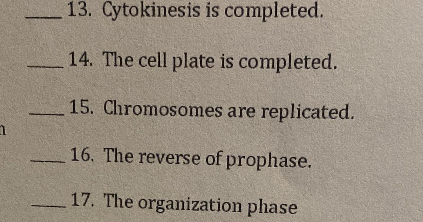 Solved Cytokinesis is completed.The cell plate is | Chegg.com