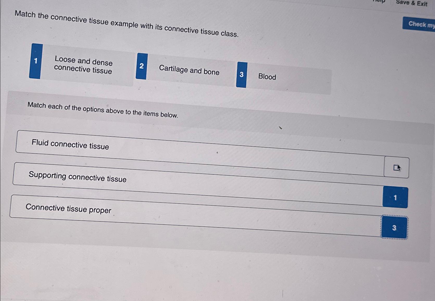 Solved Save & ExitMatch the connective tissue example with | Chegg.com