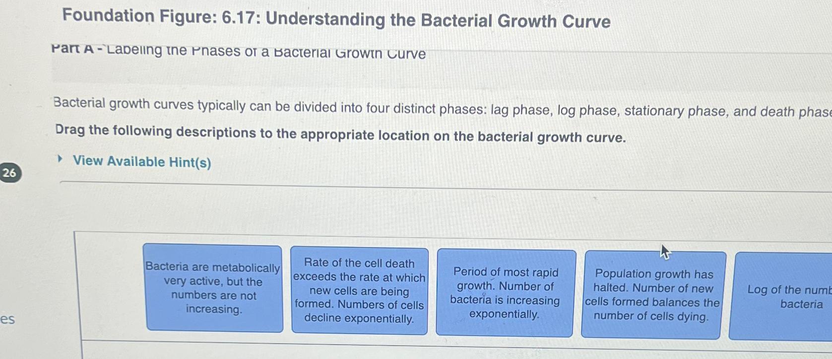 Solved Foundation Figure: 6.17: Understanding the Bacterial | Chegg.com