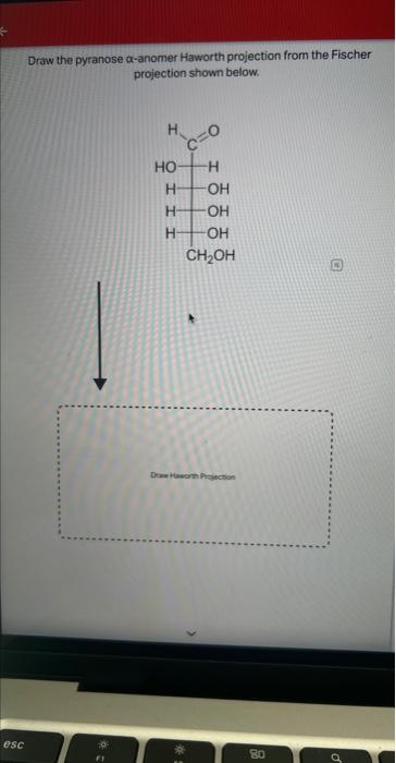 Solved Draw the a-anomer furanose Haworth projection from | Chegg.com