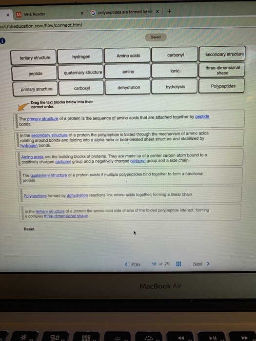 polypeptides are formed by w x + x M MHE Reader * | Chegg.com