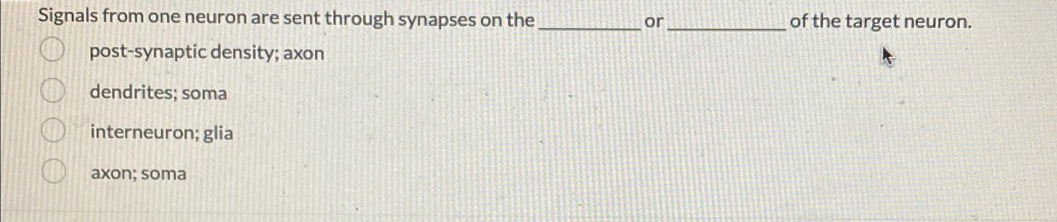 Solved Signals from one neuron are sent through synapses on | Chegg.com