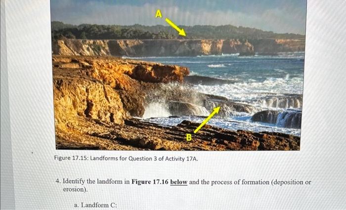 Solved In general, the West Coast of the US is an example of | Chegg.com