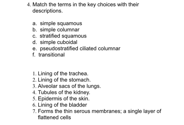 Solved 1. Use the key choices to identify the major tissue | Chegg.com