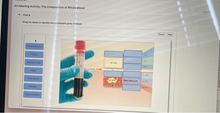 Solved Art-labeling Activity: The Composition of Whole Blood | Chegg.com
