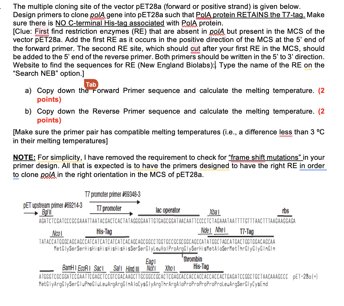 Solved The multiple cloning site of the vector pET28a | Chegg.com