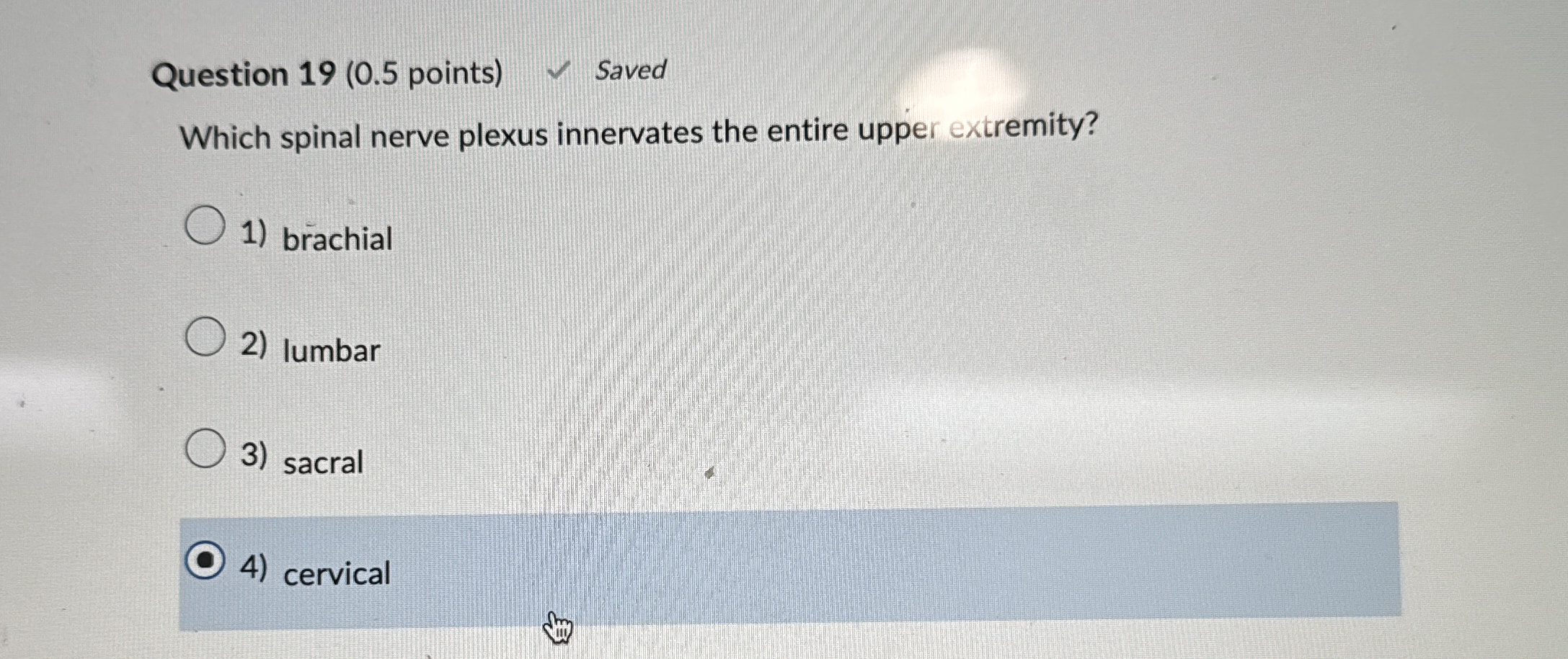 Solved Question 19 ( 0.5 ﻿points)SavedWhich spinal nerve | Chegg.com