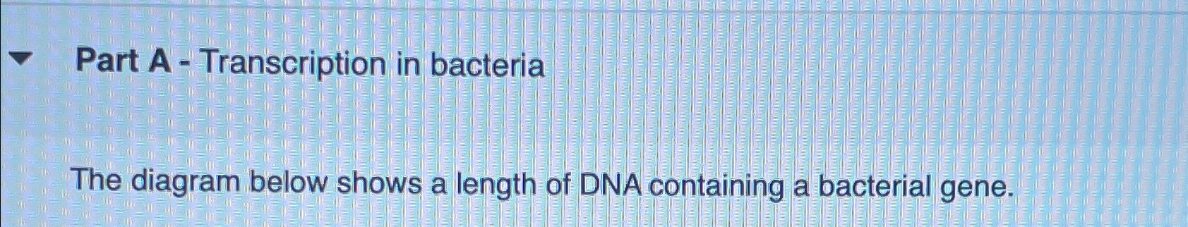 Solved Part A - ﻿Transcription in bacteriaThe diagram below | Chegg.com
