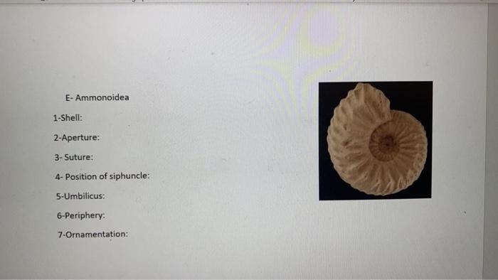 F-Nautiloidea 1-Shell: 2-Aperture: 3- Suture: 4- | Chegg.com