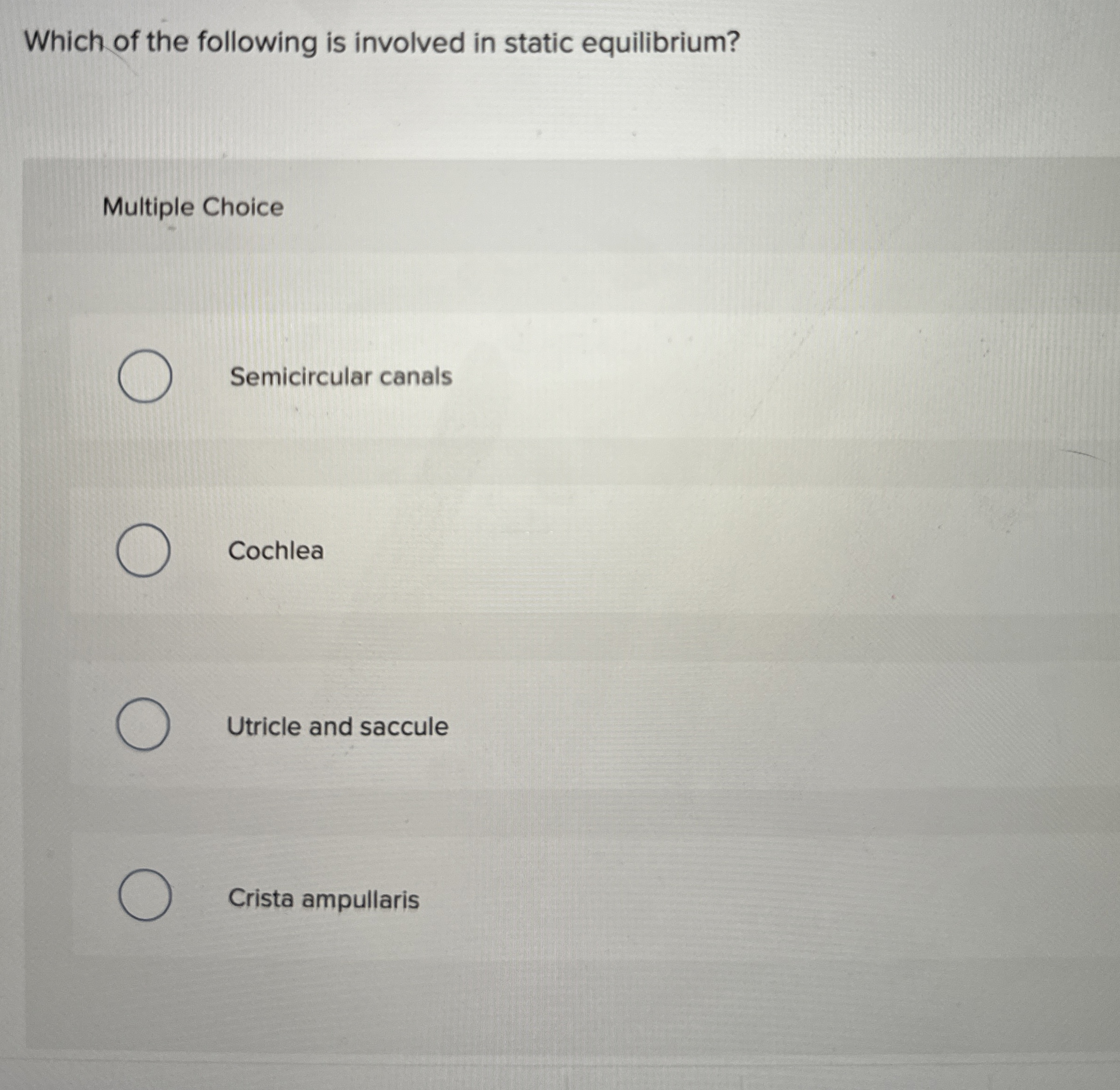 Solved Which of the following is involved in static | Chegg.com
