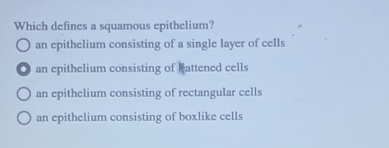 Solved Which defines a squamous epithelium?an epithelium | Chegg.com