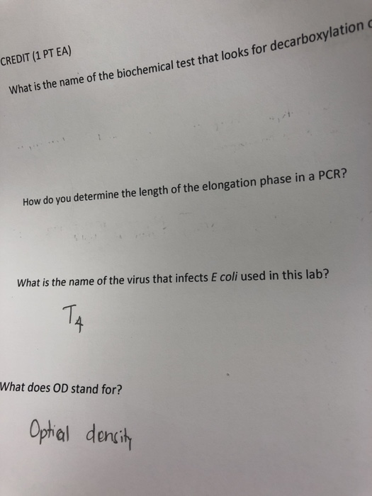 Solved What does OD stand for? What is the equation for | Chegg.com