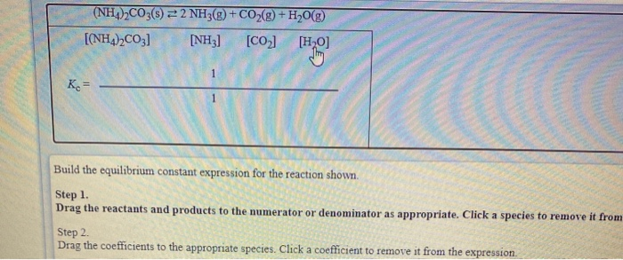 (NH4)2CO3(8) 22 NH3(%) + CO2(g) + H2O(g) [(NH4)2CO3] | Chegg.com