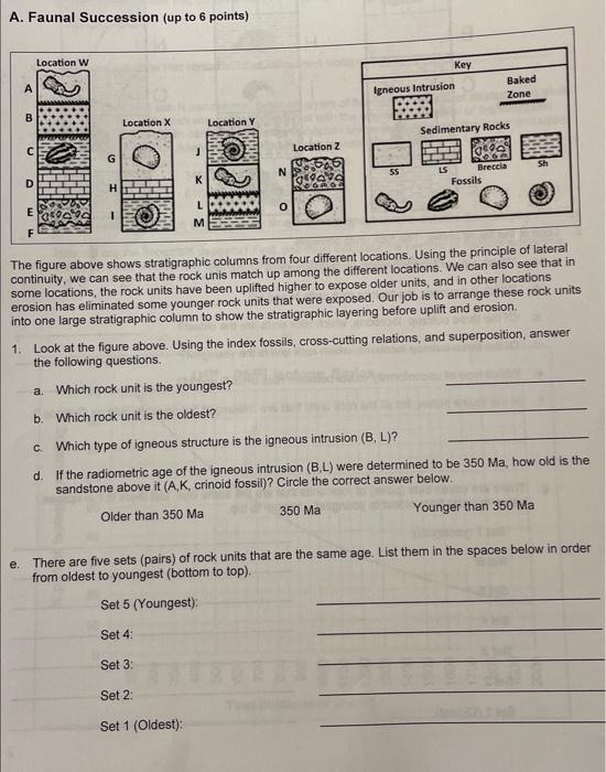 Solved A. Faunal Succession (up to 6 points) The figure | Chegg.com