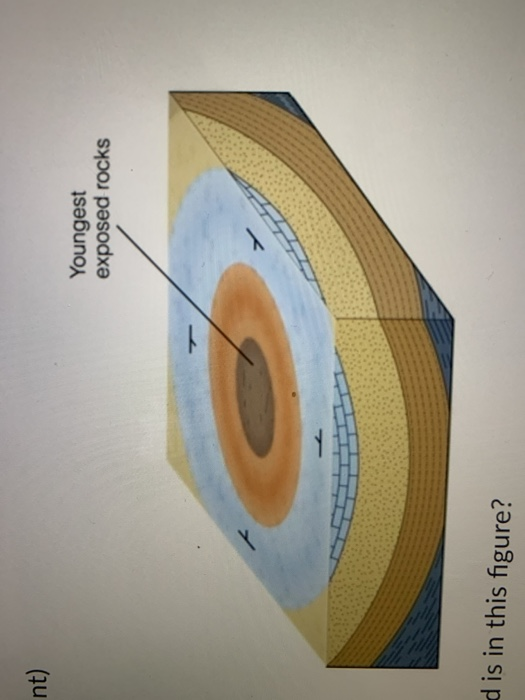 Solved what type of fold is in this figure? | Chegg.com