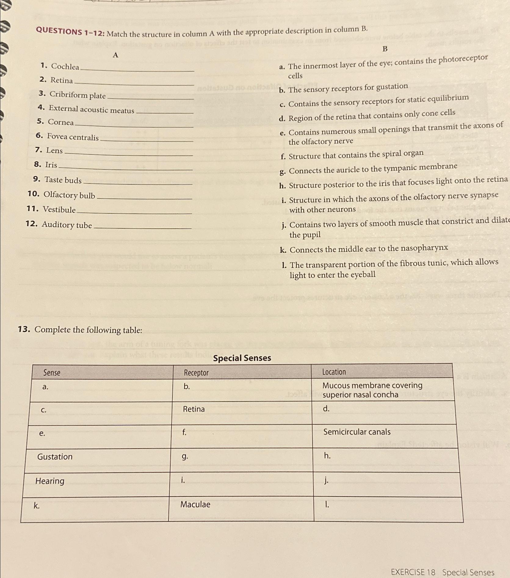 Solved QUESTIONS 1-12: Match the structure in column A with | Chegg.com Solved QUESTIONS 1-12: Match the structure in column A with | Chegg.com
