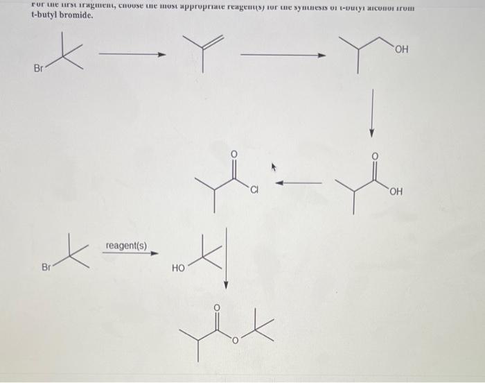 Solved ror me urst iragment, chouse me most approprnate | Chegg.com