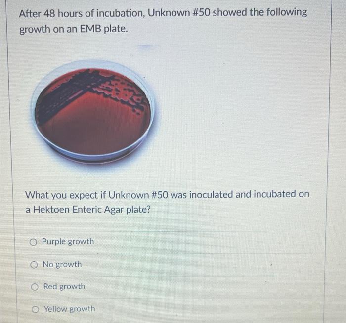Solved If organism C was inoculated on an EMB plate, what | Chegg.com