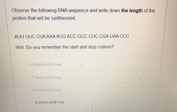 Solved Observe the following RNA sequence and write down the | Chegg.com