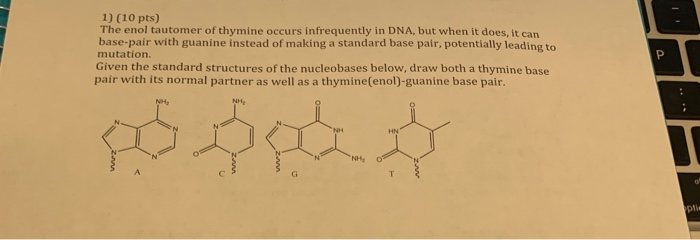 Solved 1) (10 pts) The enol tautomer of thymine occurs | Chegg.com
