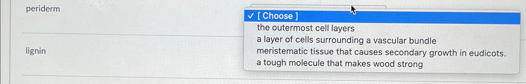 Solved periderm [Choose ]the outermost cell layersa layer | Chegg.com