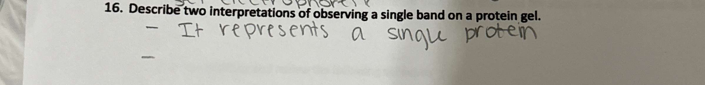 Solved Describe two interpretations of observing a single | Chegg.com