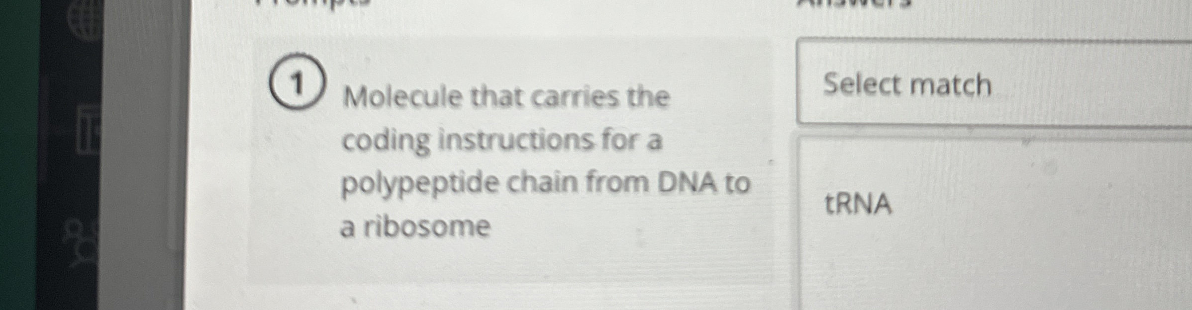 Solved Molecule that carries theSelect match coding | Chegg.com