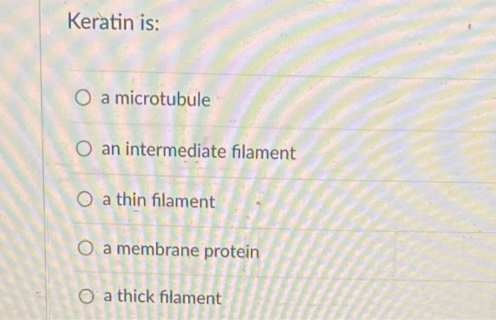 Solved Keratin is: a microtubule an intermediate filament a | Chegg.com