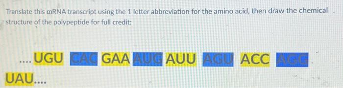 Solved Translate this mRNA transcript using the 1 letter | Chegg.com