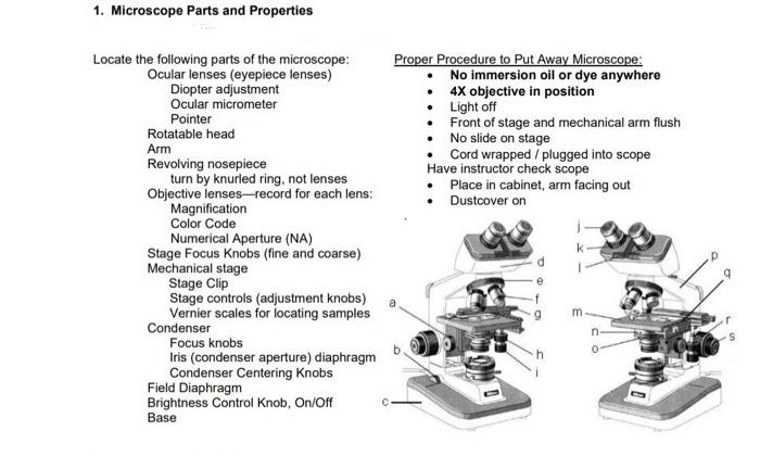 Solved 1. Microscope Parts and Properties Proper Procedure | Chegg.com