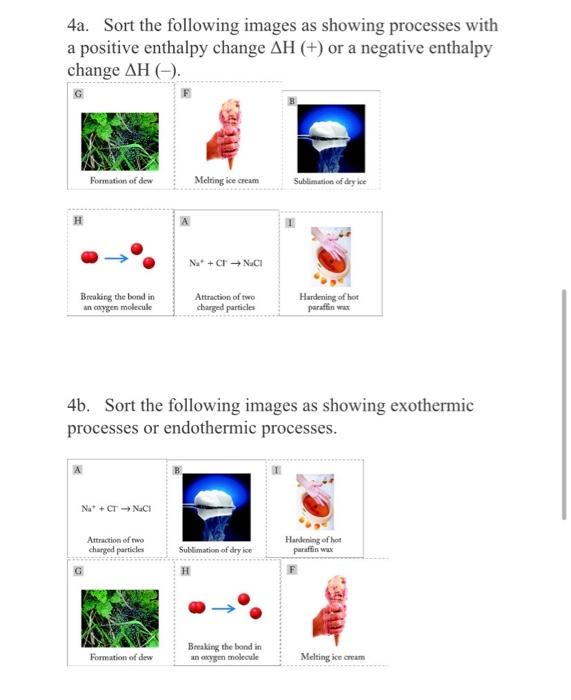 Solved 4a. Sort the following images as showing processes | Chegg.com