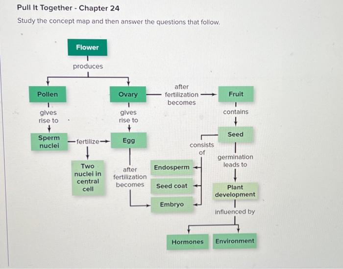 Solved Pull It Together - Chapter 24 Study the concept map | Chegg.com