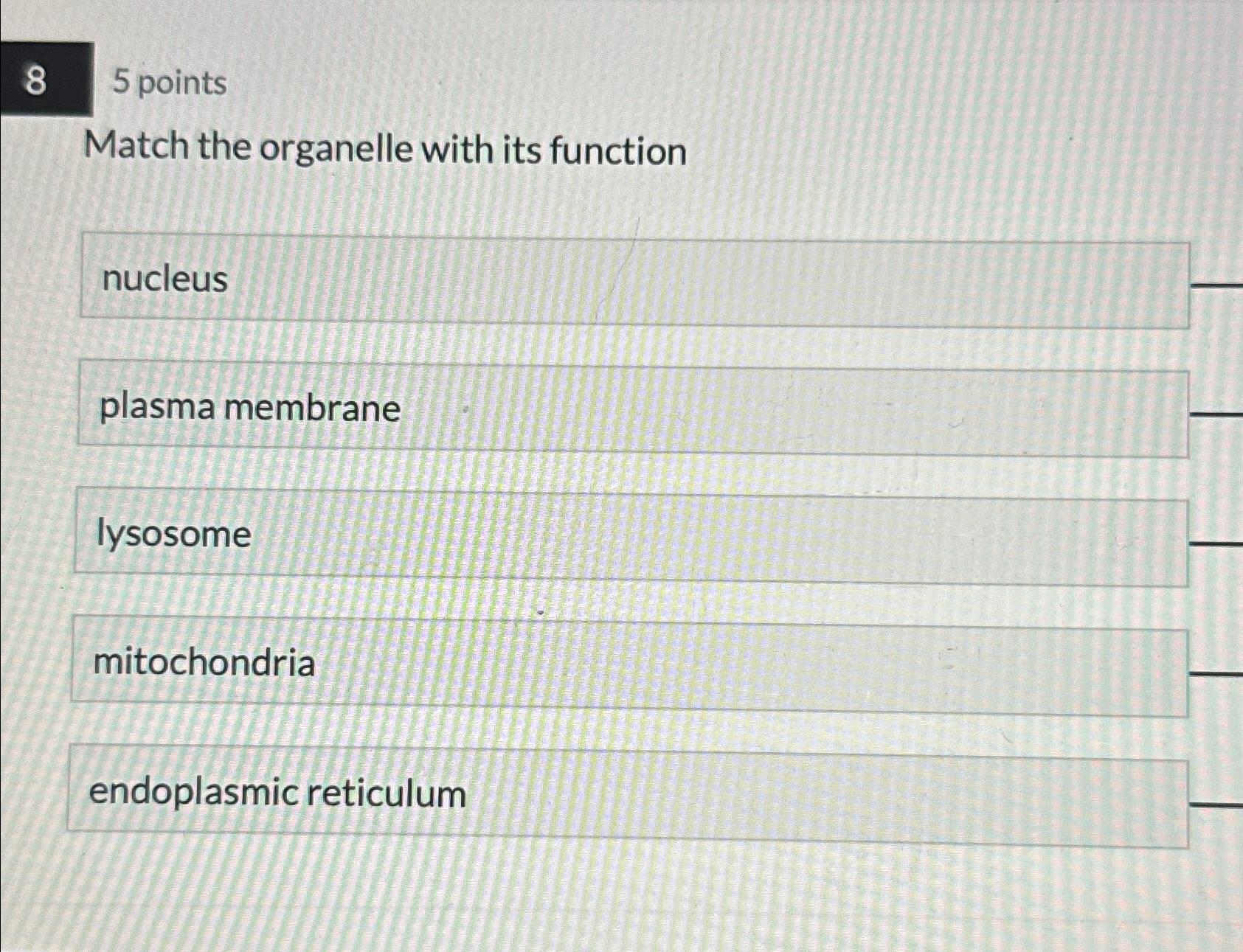 Solved 85 ﻿pointsMatch the organelle with its | Chegg.com