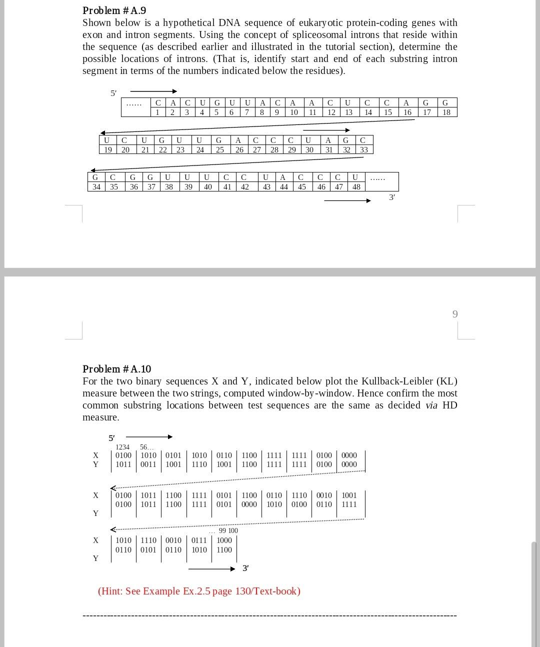 Solved Problem #A.9 Shown below is a hypothetical DNA | Chegg.com