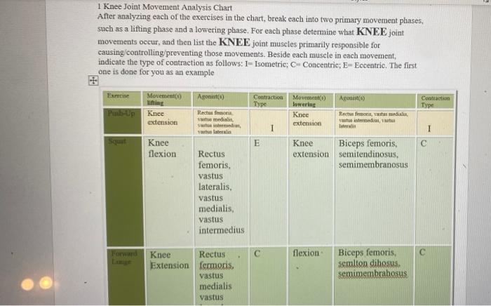 Solved 1 Knee Joint Movement Analysis Chart After analyzing | Chegg.com