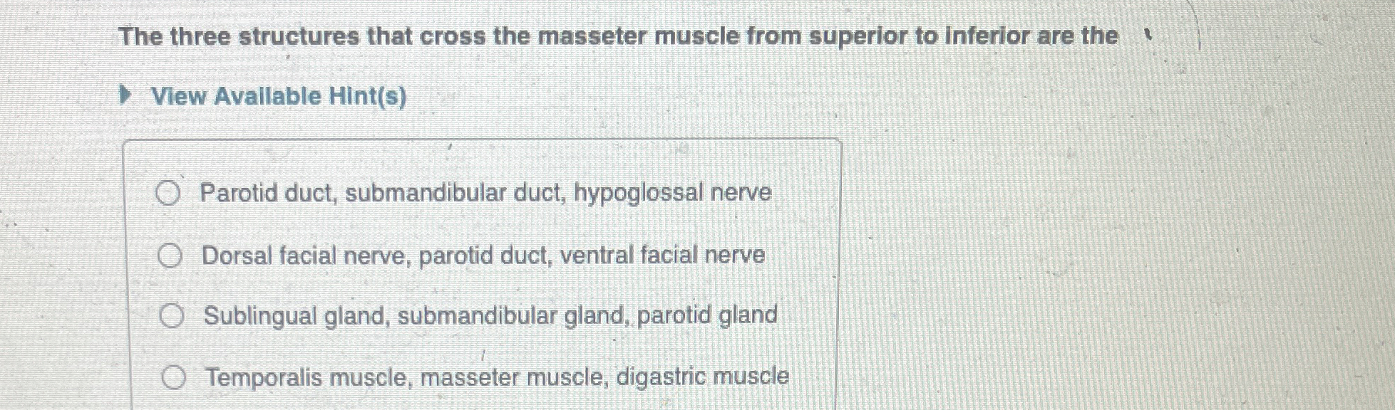Solved The three structures that cross the masseter muscle | Chegg.com