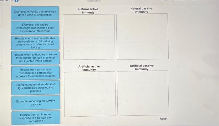 Solved Example: immunity that develops after a case of | Chegg.com