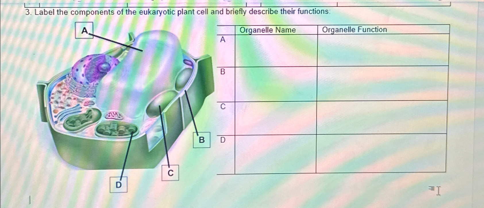 Solved Label the components of the eukaryotic plant cell and | Chegg.com