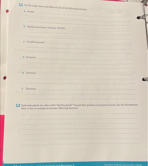 Solved 11 List the target tissue and effects of each of the | Chegg.com