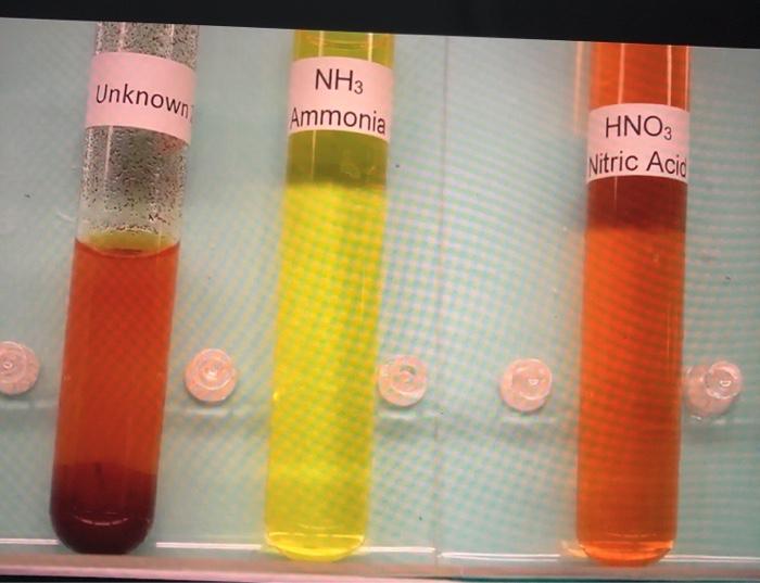 Solved In this experiment, you investigated two salts: | Chegg.com