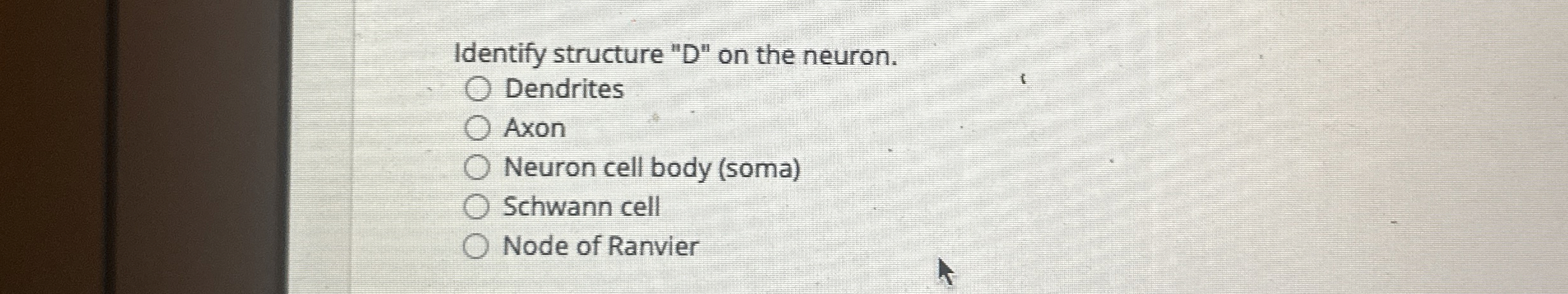 Solved Identify structure " D " ﻿on the | Chegg.com