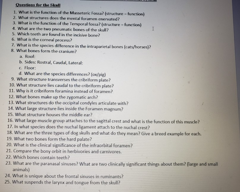 Solved Questions for the Skull 1. What is the function of | Chegg.com