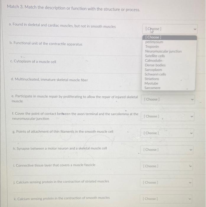 Solved Match 3. Match the description or function with the | Chegg.com