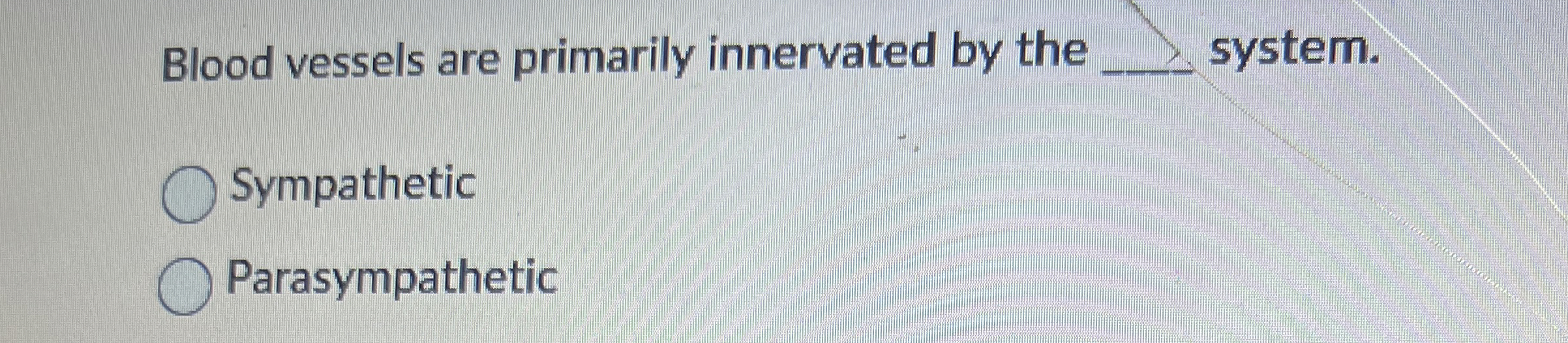 Solved Blood vessels are primarily innervated by the system. | Chegg.com
