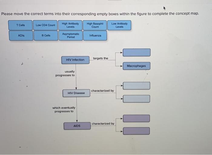 Solved Please move the correct terms into their | Chegg.com